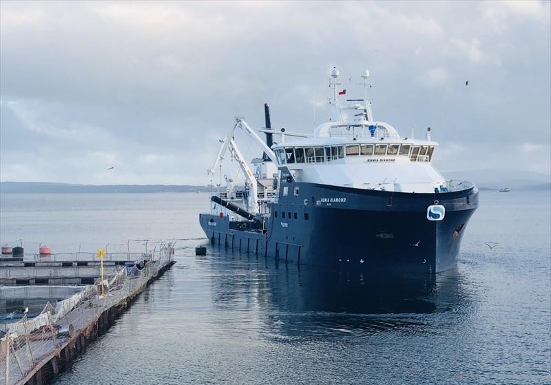 RONIA DIAMOND - Vesseljoin