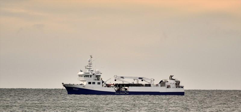 GRIP ARCTIC - Vesseljoin