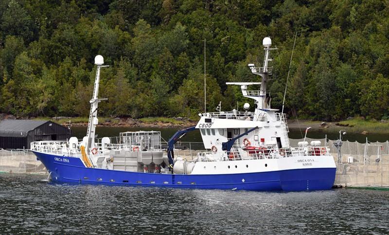 ORCA ONA - Vesseljoin