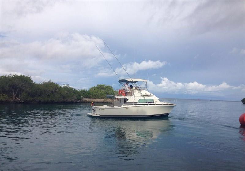 ALAMAR II - Vesseljoin