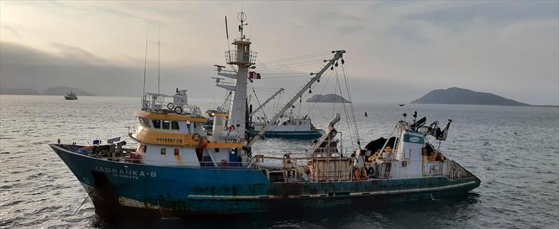 JADRANKA B - Vesseljoin