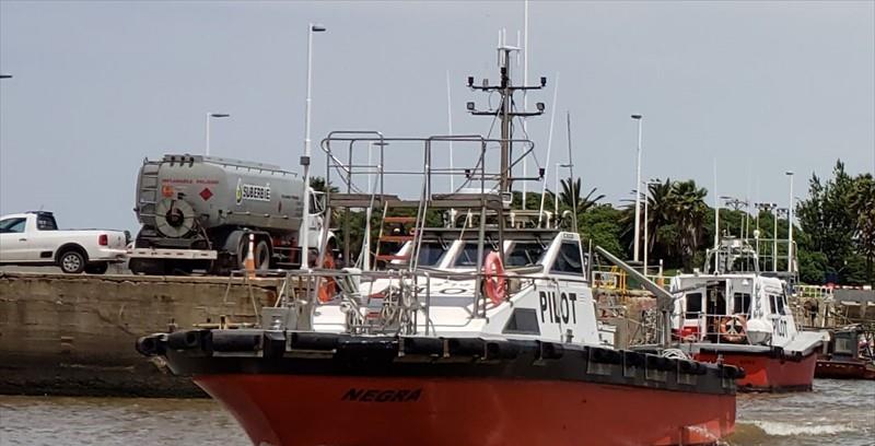 PILOT BOAT NEGRA - Vesseljoin