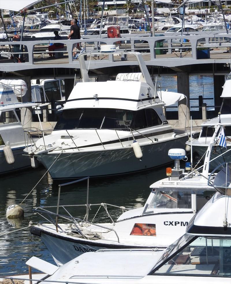 NAUSICAA - Vesseljoin