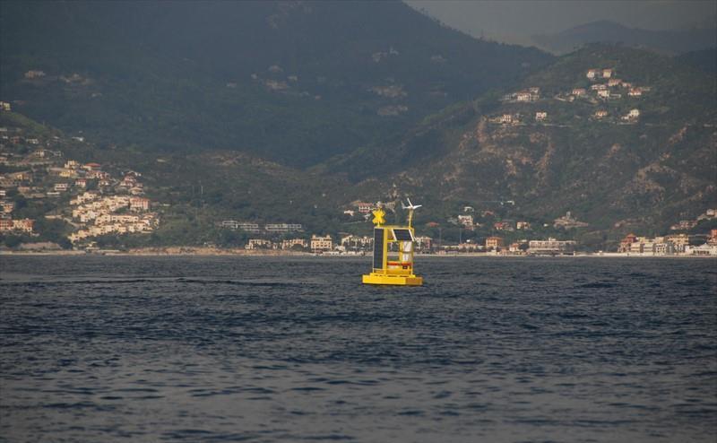 WHALECAFE - Vesseljoin