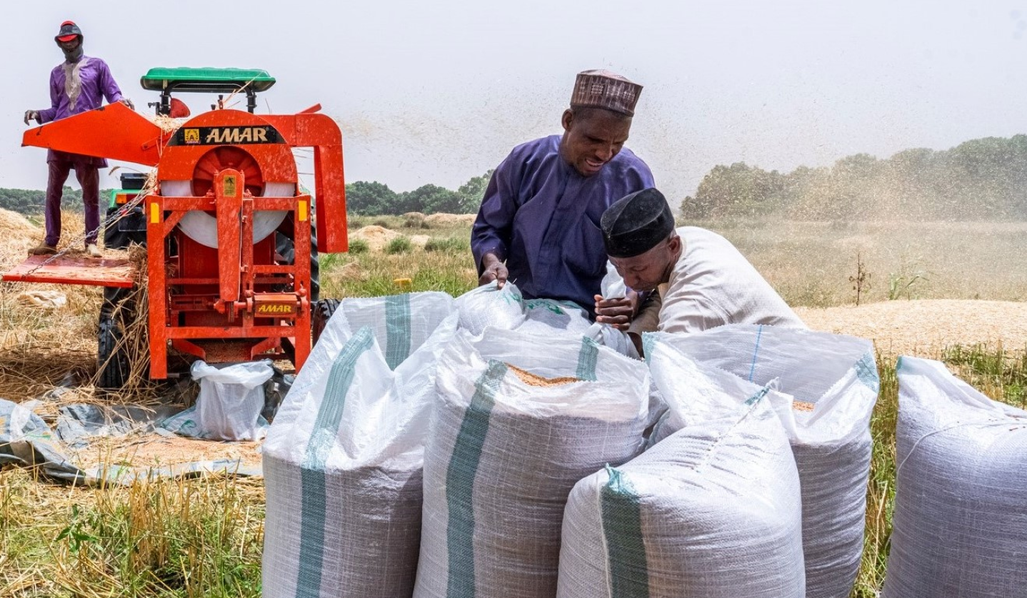 Nigeria’s Food Insecurity: Why Trade Policy Reform is Essential