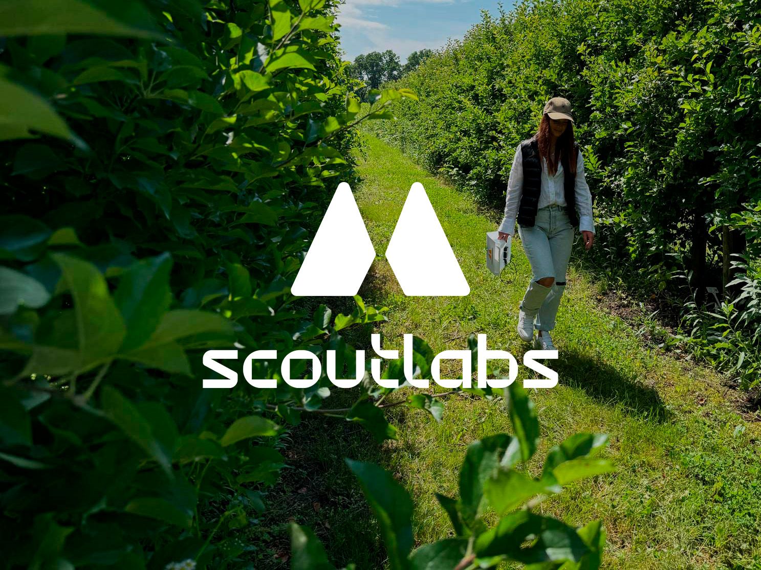 Hungarian agritech scoutlabs raises $2M seed to develop digital insect ...
