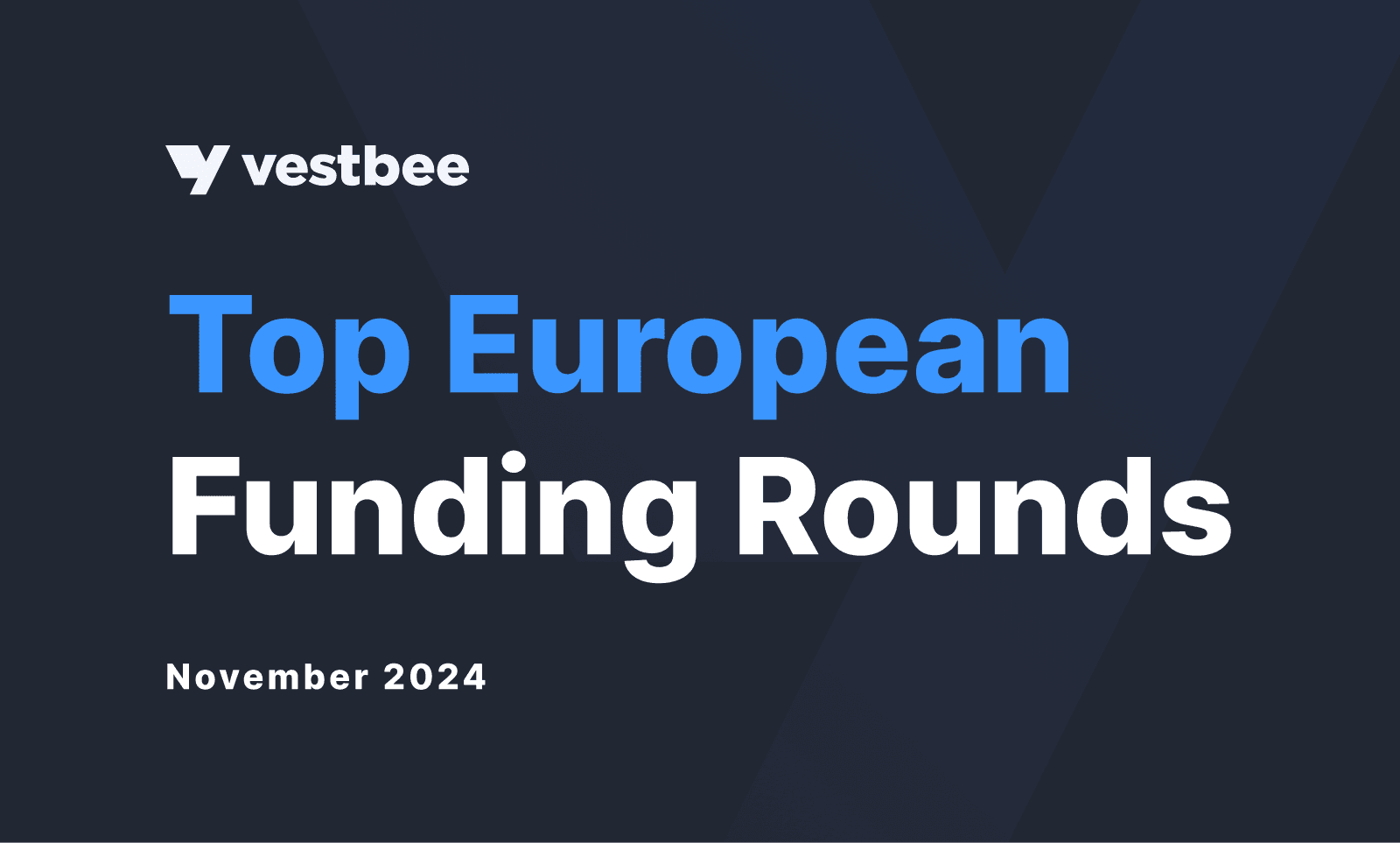 Top European funding rounds closed in November 2024 | Vestbee