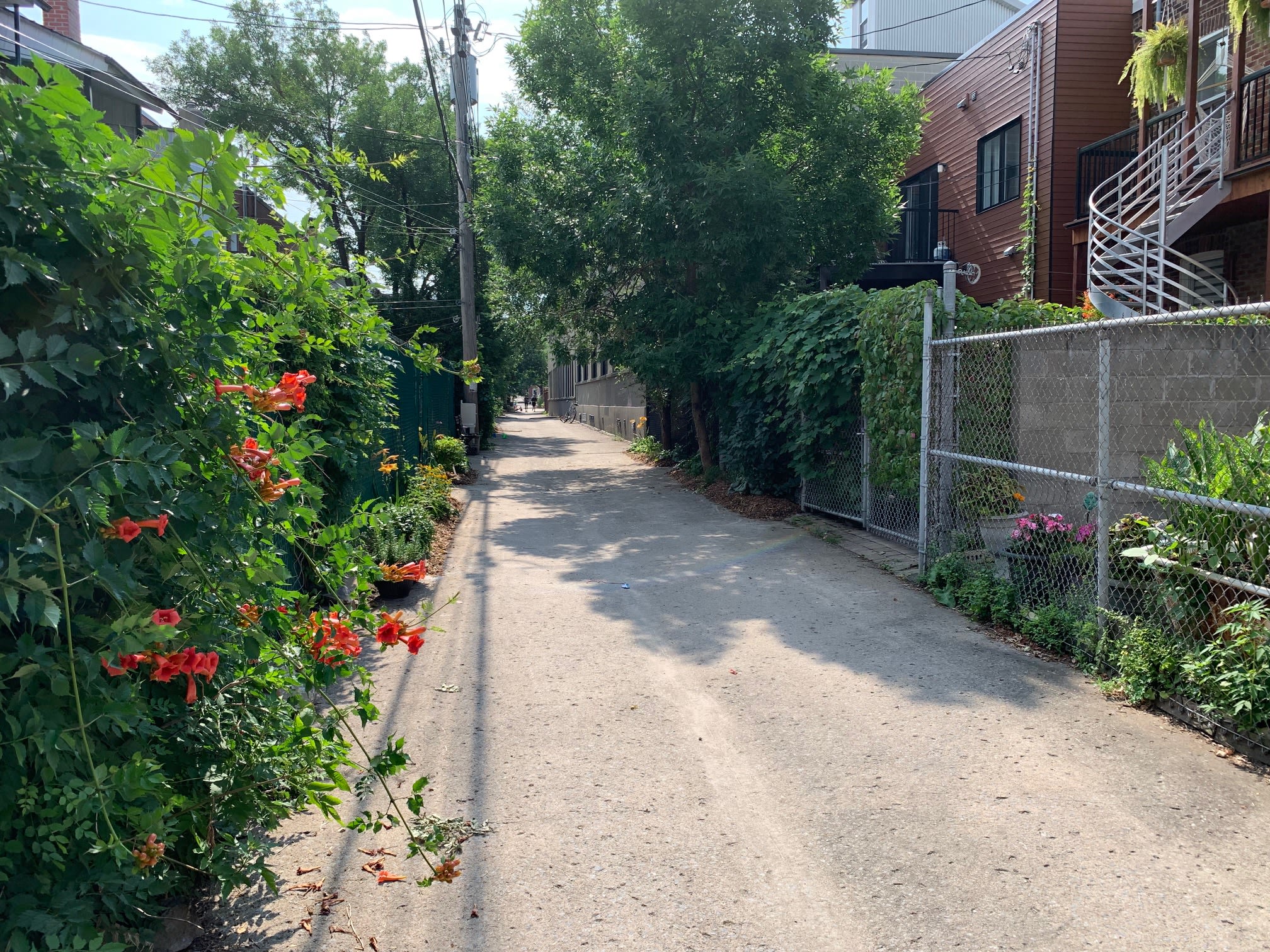 Les ruelles vertes à VSP | Ville de Montréal