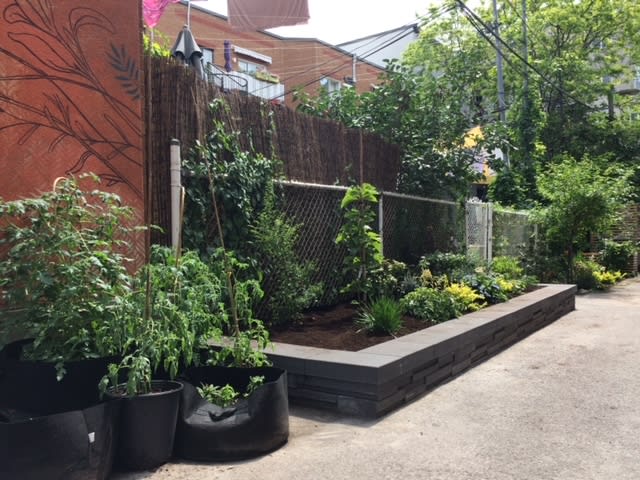 Les ruelles vertes à VSP | Ville de Montréal