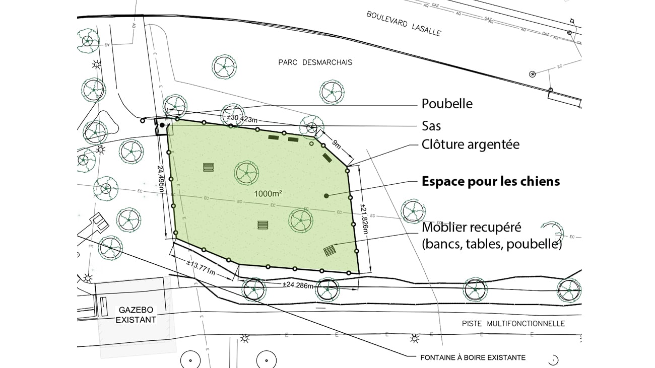Aménagement d’un parc à chiens temporaire au parc Desmarchais | Ville ...