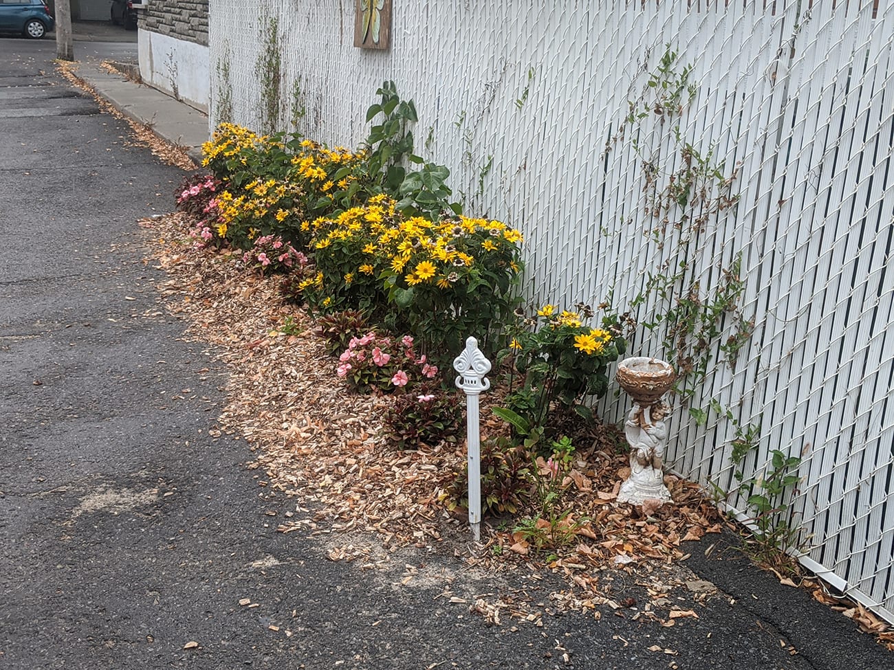 Les ruelles vertes à VSP | Ville de Montréal