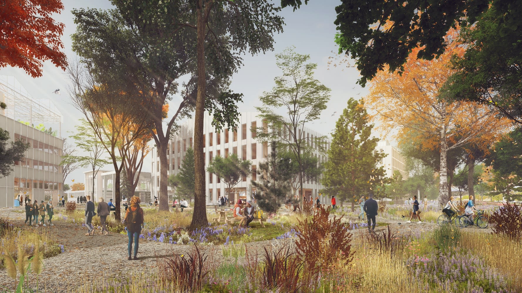 Reinventing Montréal 2020-2021: Presentation of the winning project ...