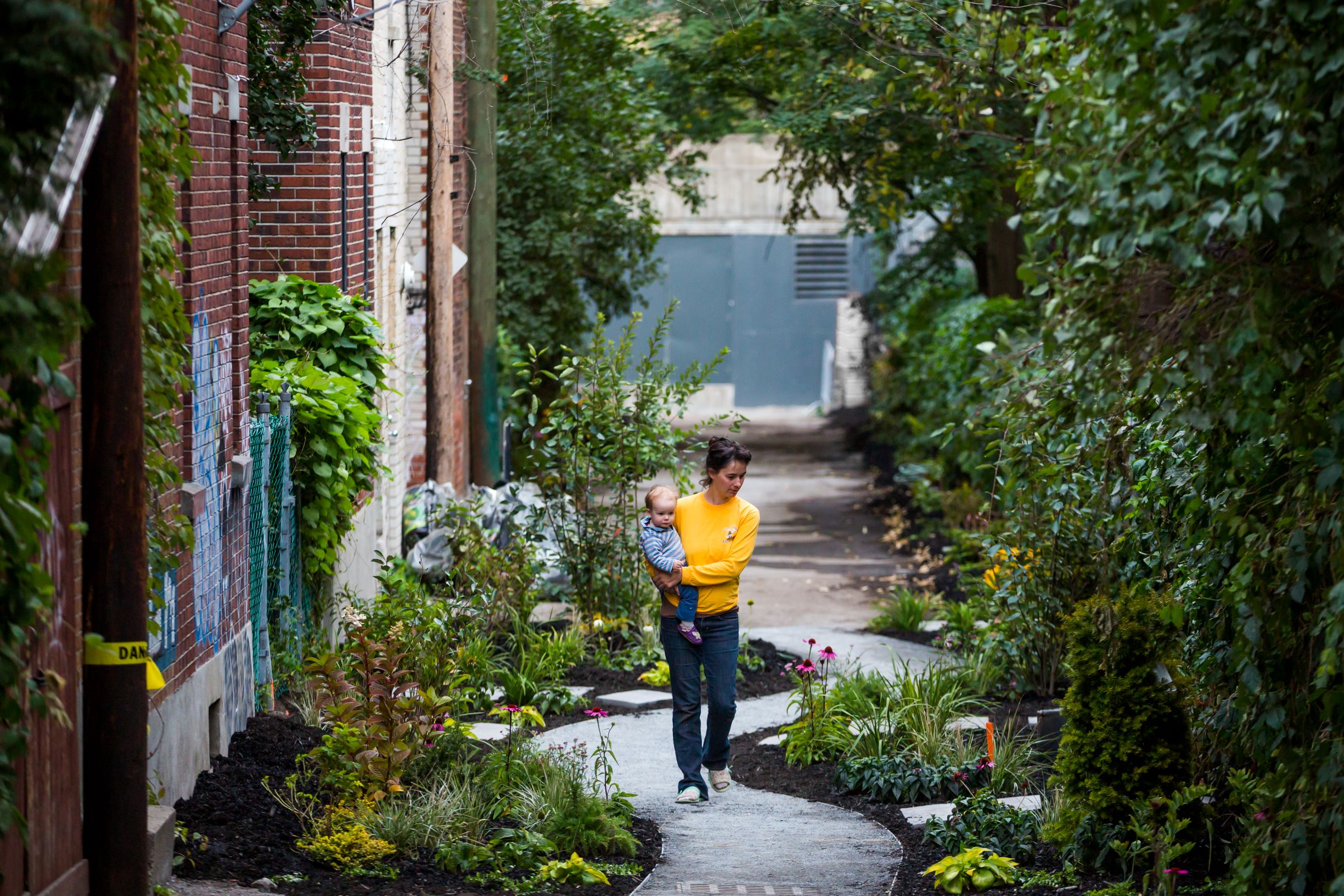 Ruelles vertes dans Le Plateau-Mont-Royal | Ville de Montréal
