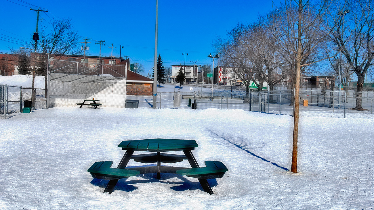Parc à chiens du parc Pilon | Ville de Montréal