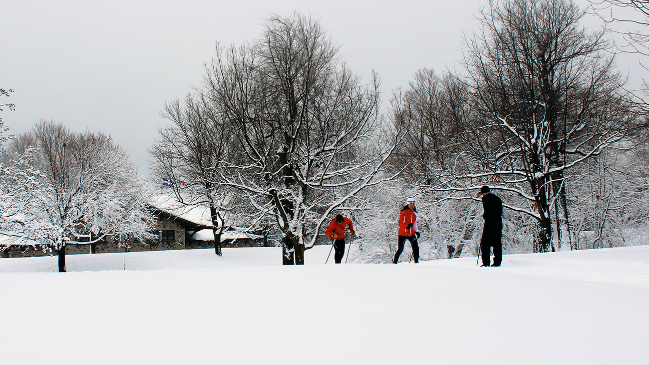 Parc du Mont-Royal
