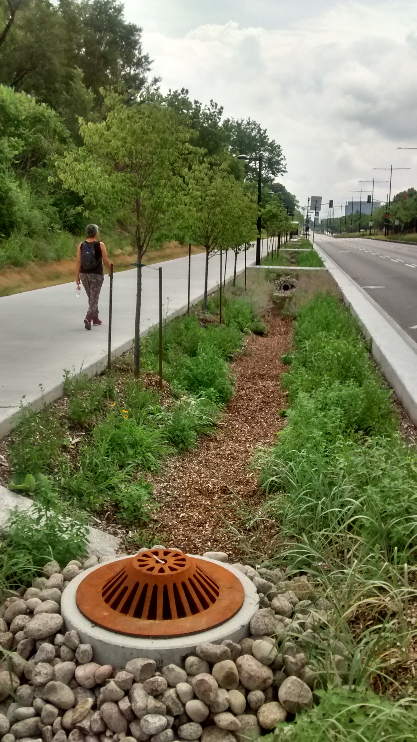 Avenue Papineau : des infrastructures vertes pour optimiser la gestion ...