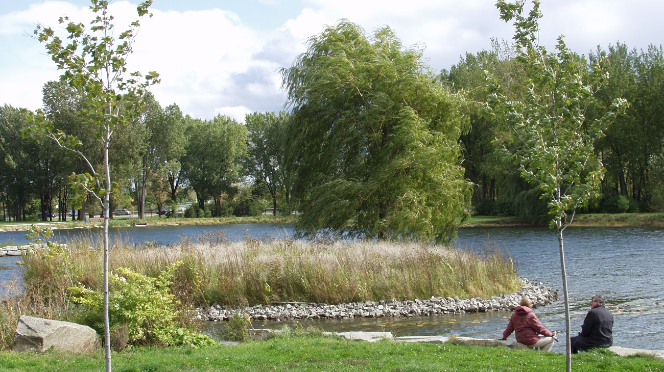 Parc Angrignon | Ville de Montréal