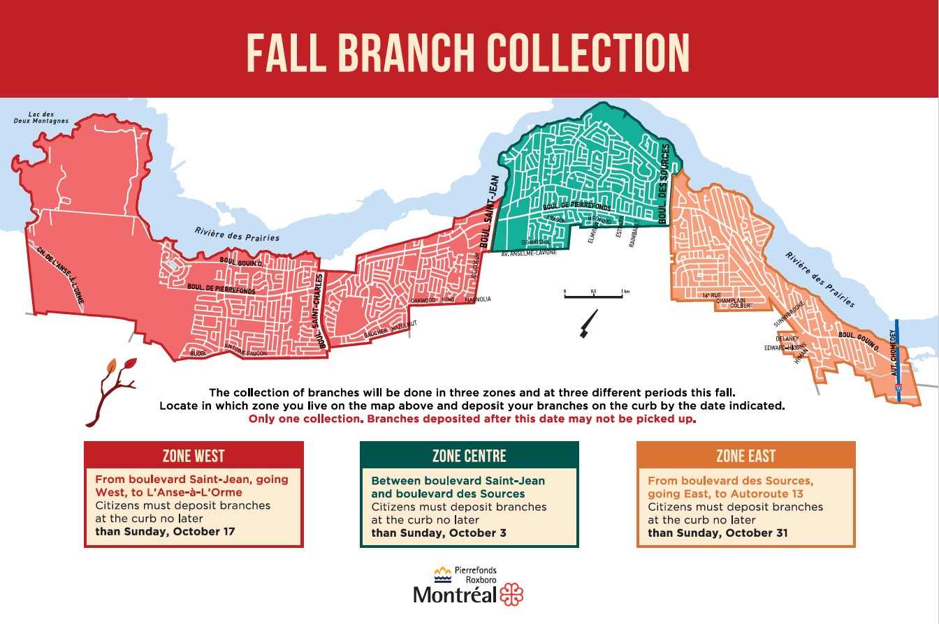 Get details about tree branch collections