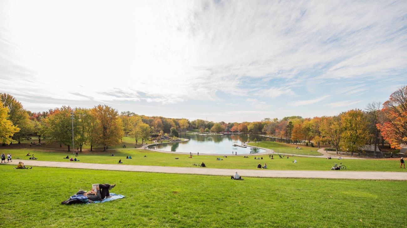 Work operations in Mount Royal Park : Projects in progress | Ville de ...