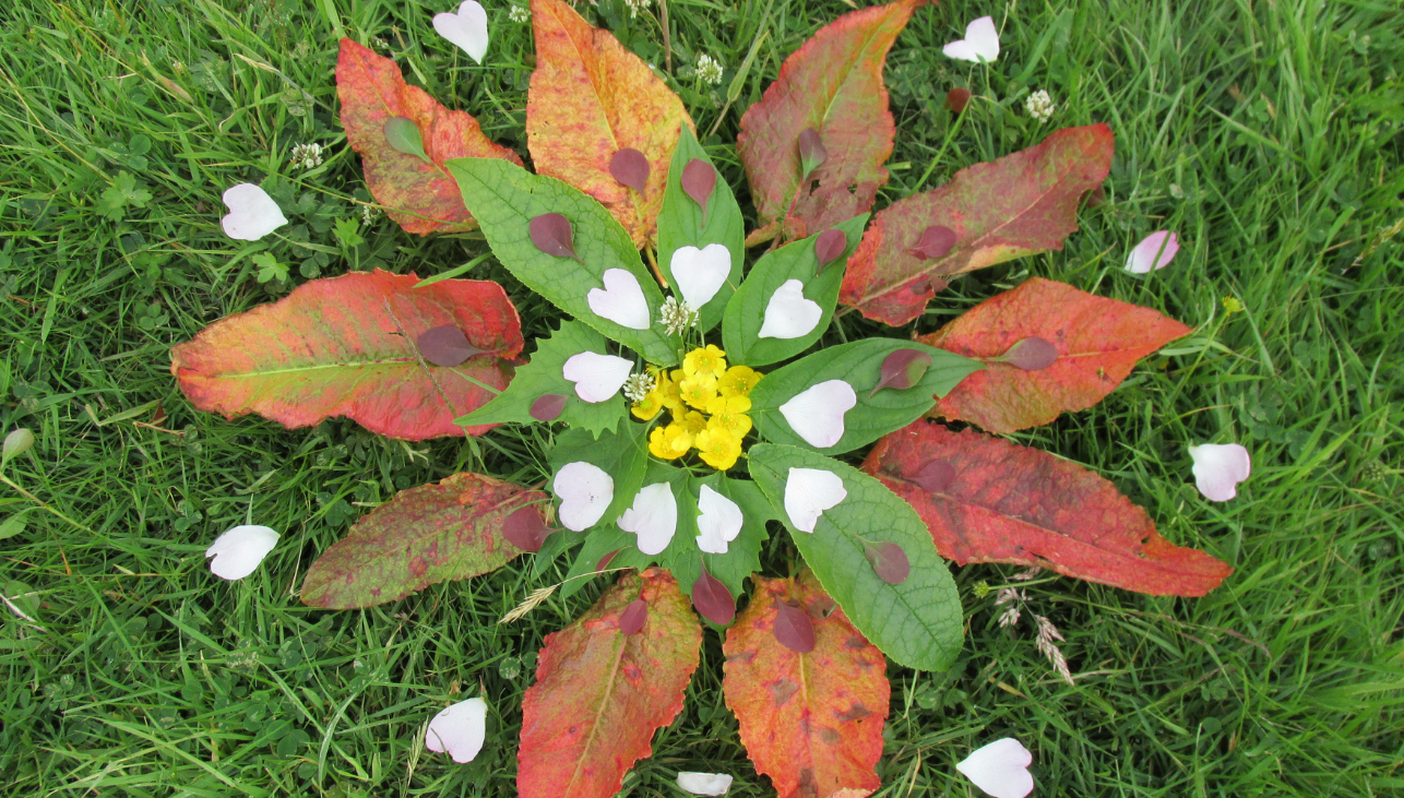 Pierrefonds-Roxboro's library activities | Ville de Montréal