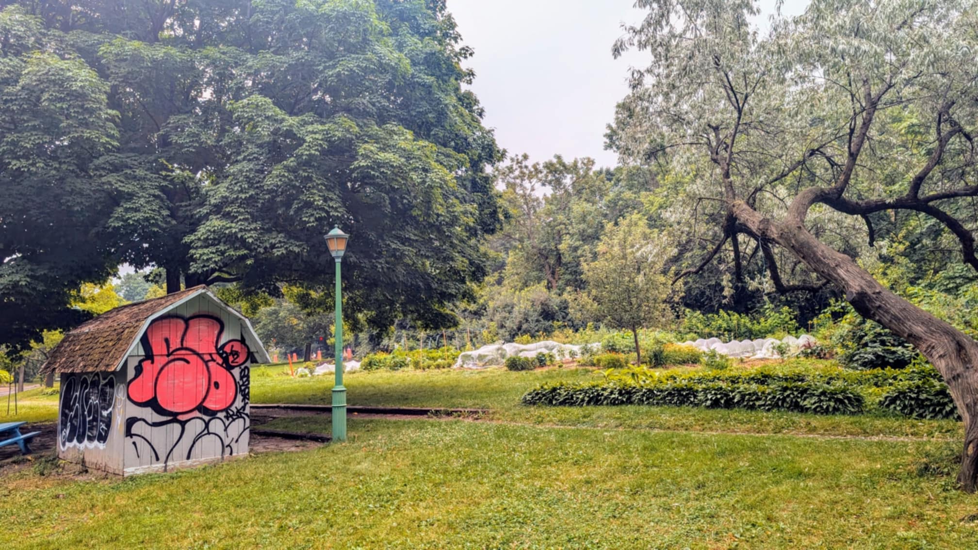 Projet d'agriculture urbaine au parc Beaubien d'Outremont | Ville de ...