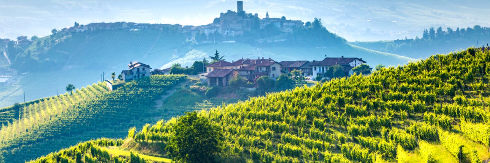 Vindrose Rejser | Kontakt os, hvis du har spørgsmål