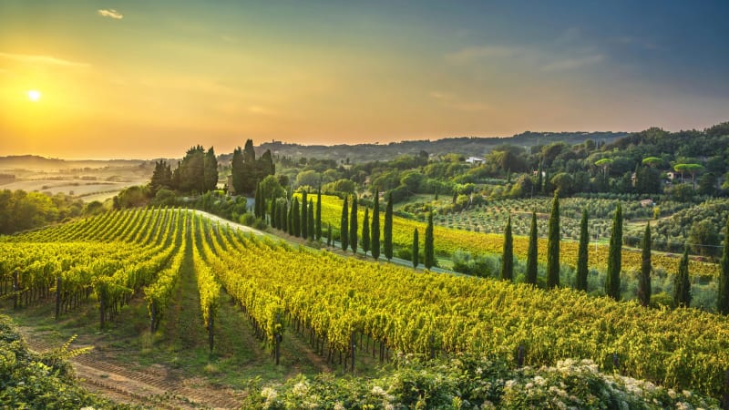 Rejsemål | Se Vindrose Rejsers mange rejsemål lige her