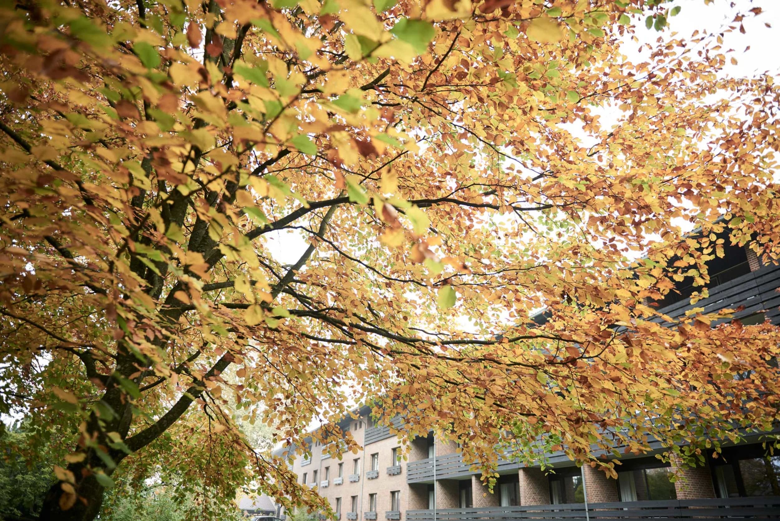 Ophold på Munkebjerg Hotel ved Vejle Fjord | Vindrose Rejser