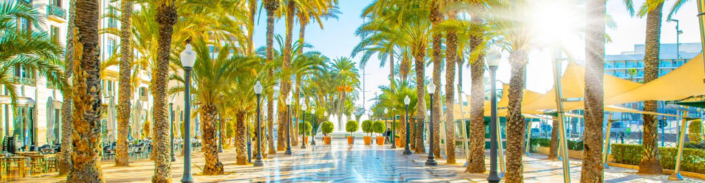 Long stay - Vindrose Rejser