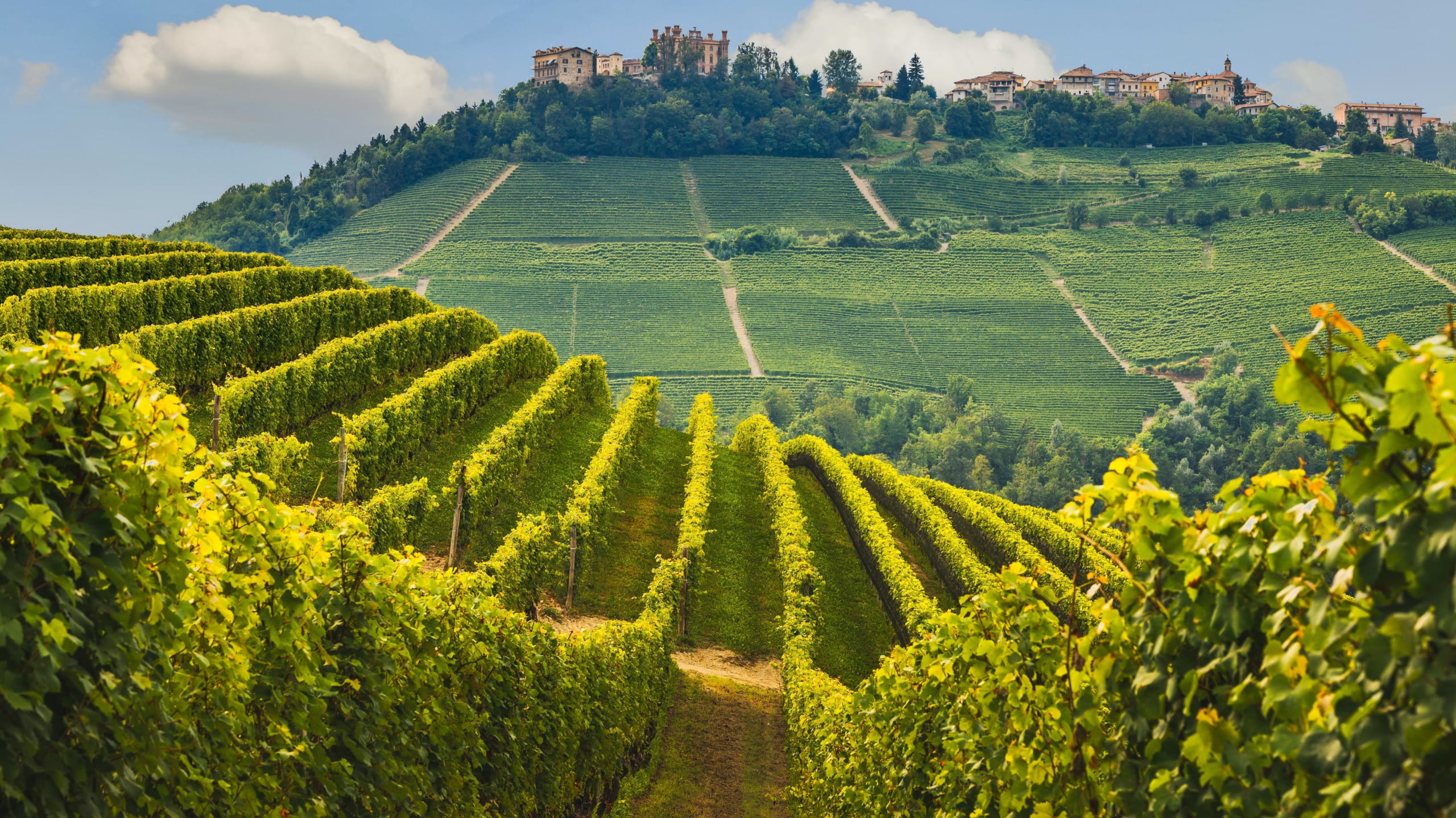 Centralitalien - Vindrose Rejser