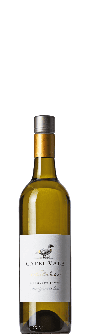 Capel Vale Cellar Exclusive Sauvignon Blanc 2022 - White Wine ...