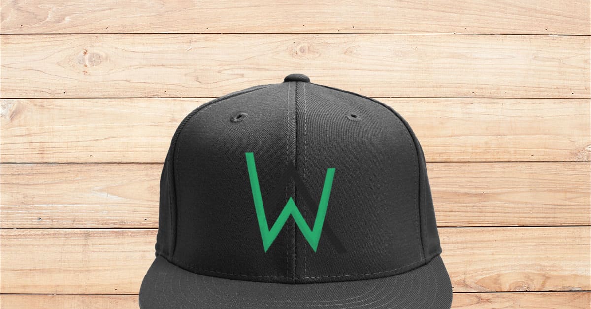 Alan Walker Snapback - Viralstyle
