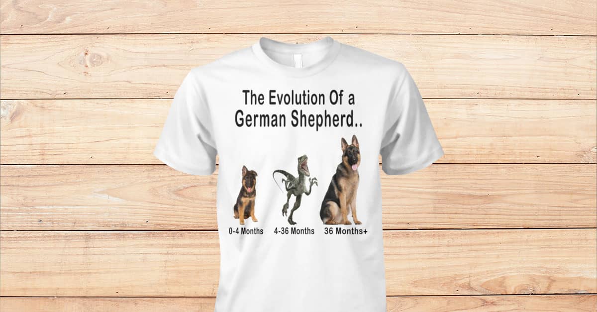 The evolution of a german shepherd - Viralstyle