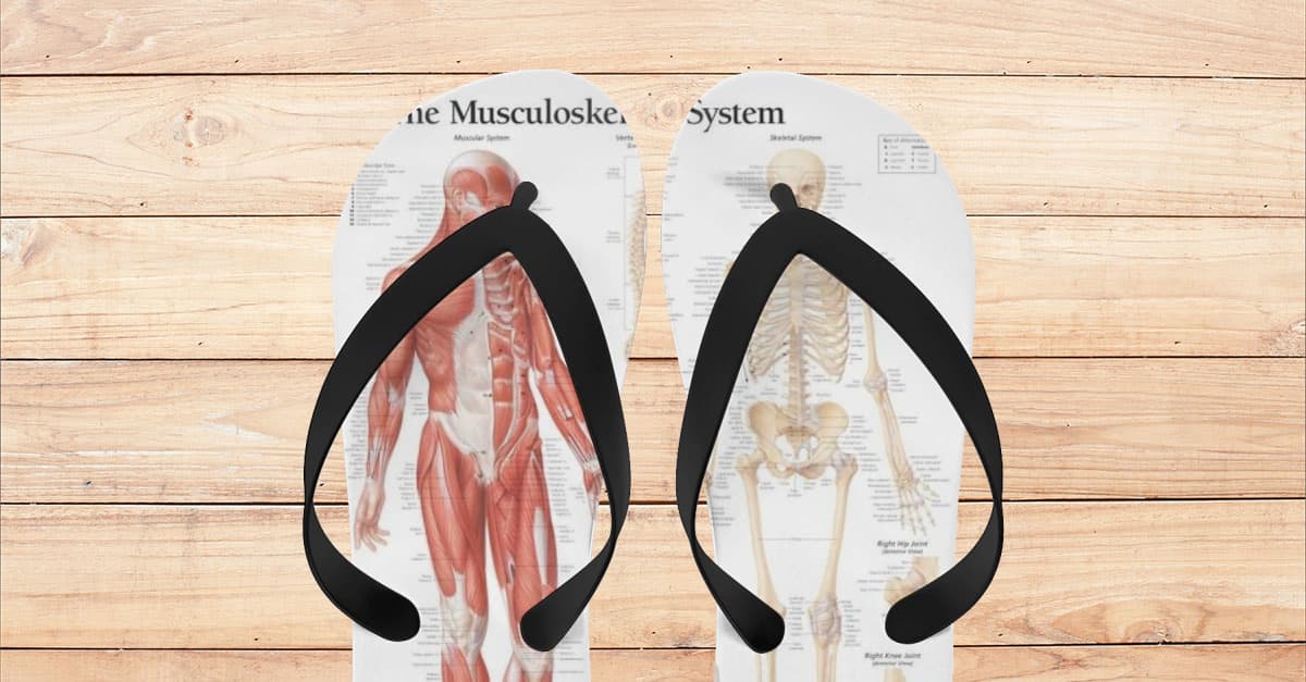 Muscles & Bones Slippers - Viralstyle