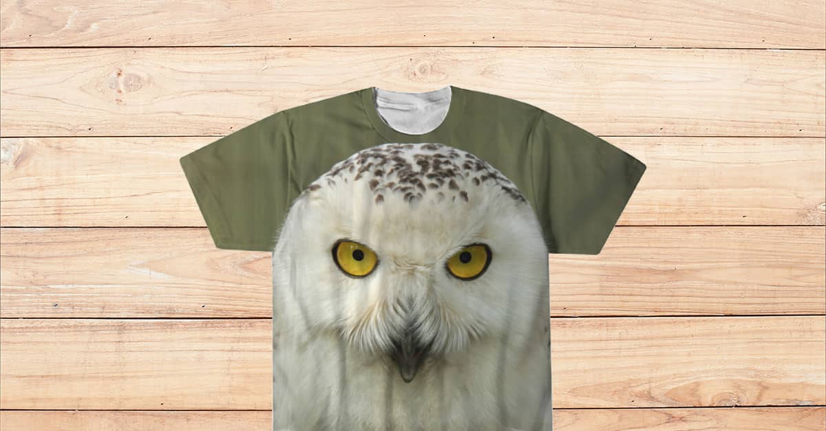 Steely-Gaze Owl - Viralstyle