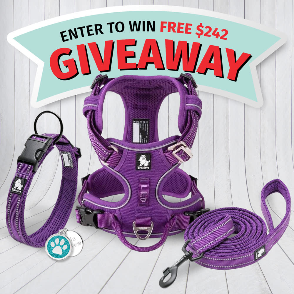 Win a Premium Dog Nation Sweepstakes Valued at $242!