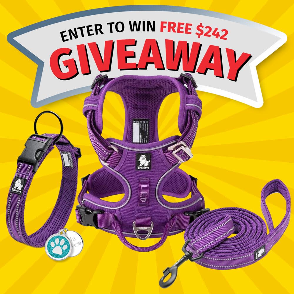 Win a Premium Dog Nation Sweepstakes Valued at $242!