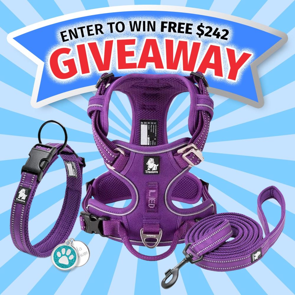 Win a Premium Dog Nation Sweepstakes Valued at $242!