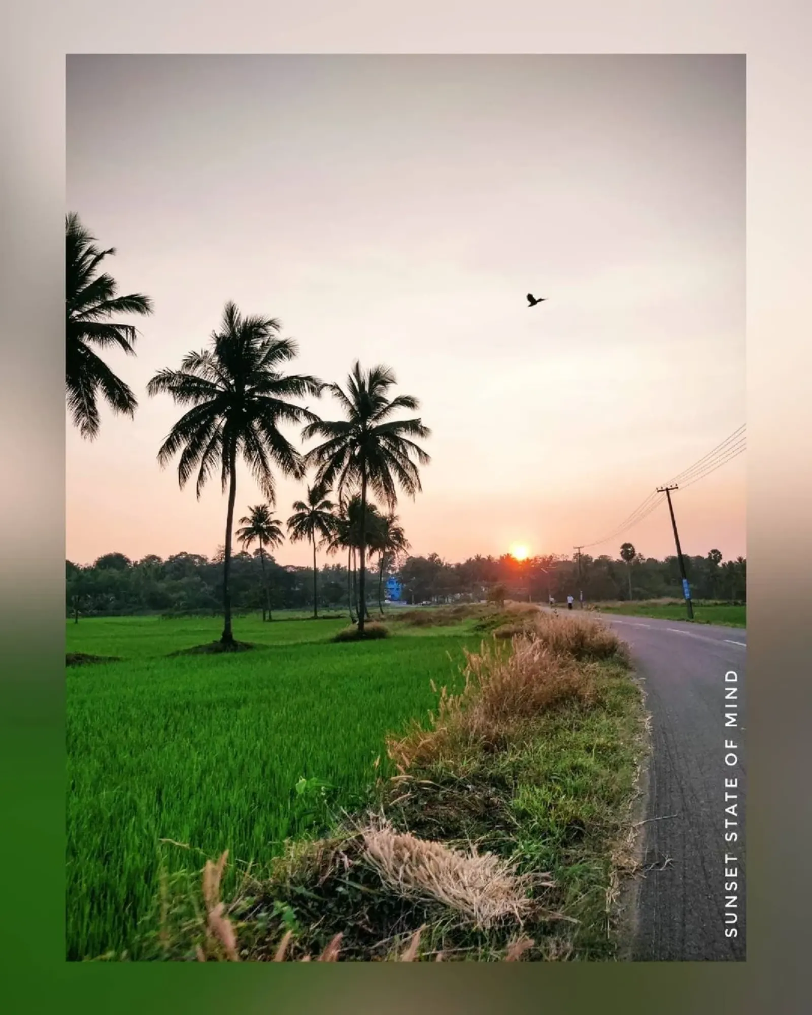 Vishnudev | Portfolio