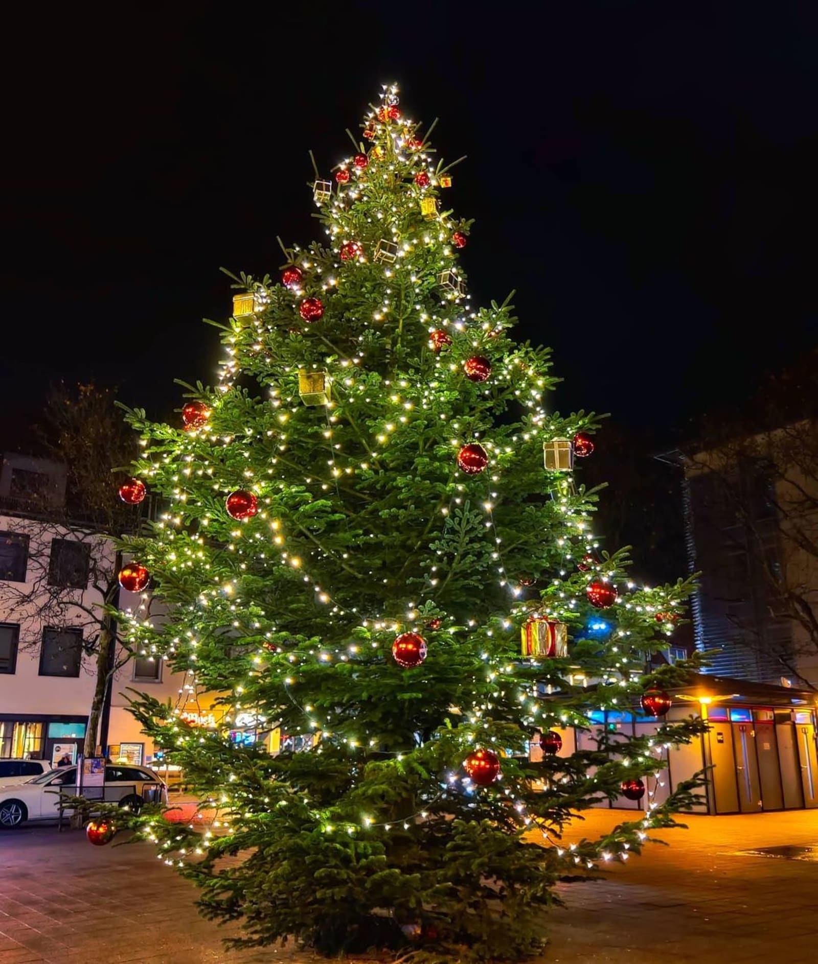 Vishnudev | Portfolio