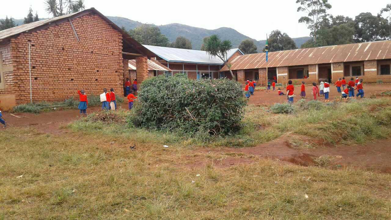 VisibleImpact.org - Iyunguya Pr. School Latrines project