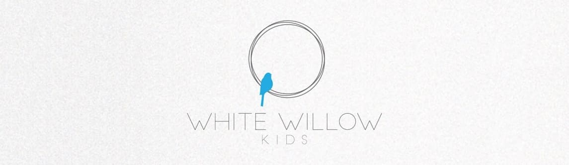 logo design survey questions