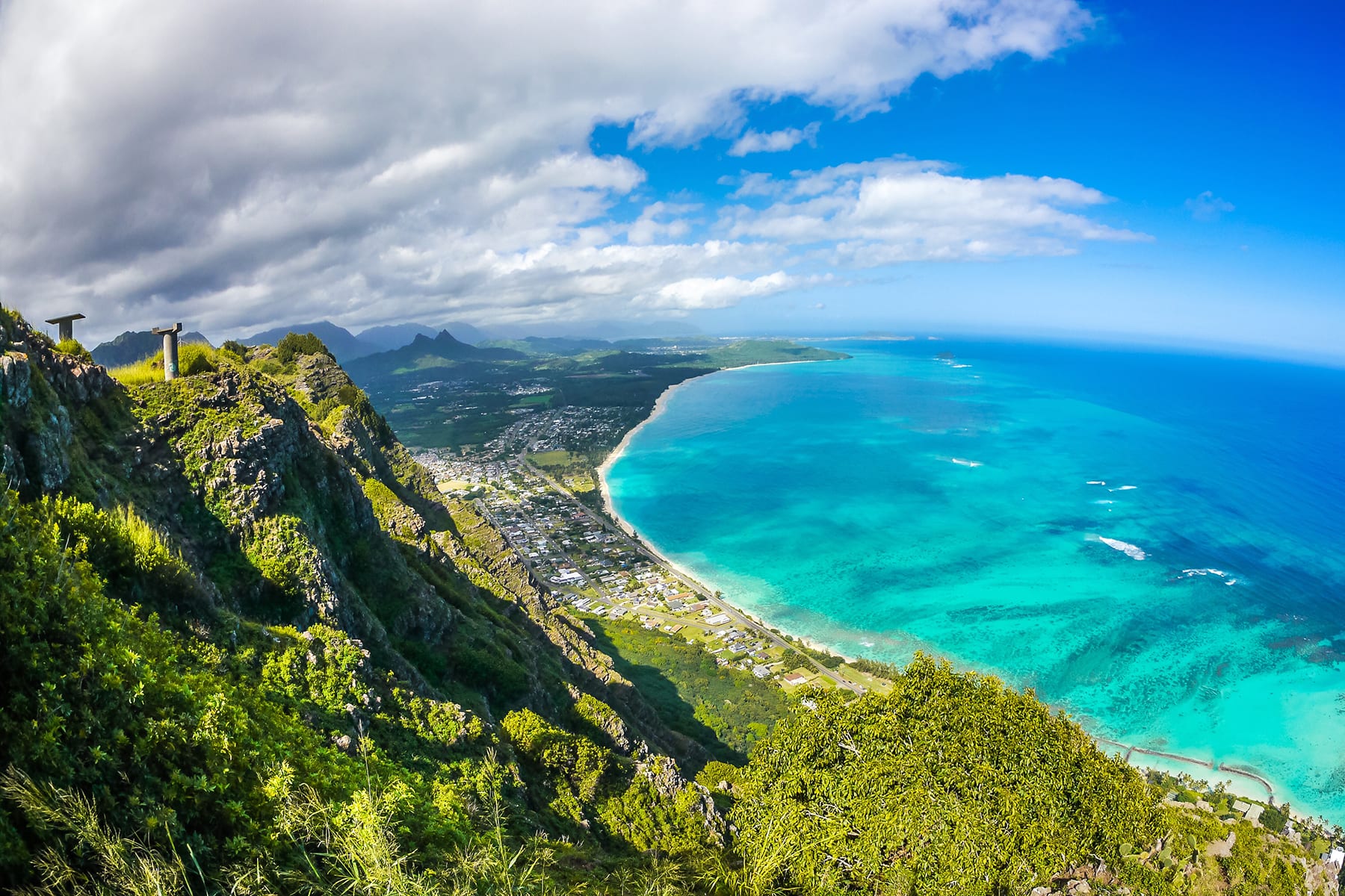 A Look at Maui Wowie: The Flyin’ Hawaiian | Verified News Network