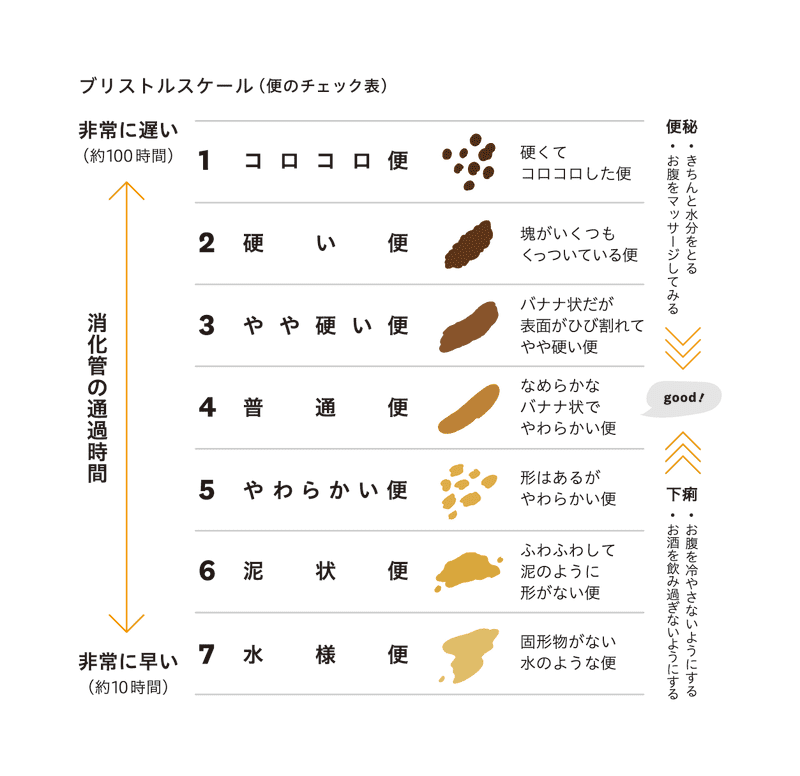 腸からのお便り、うんちチェックの仕方 【腸活のオーソリティ鈴木啓太×りんたろー。対談】便は自分でチェックできる腸からの“通信簿”!【連載84回