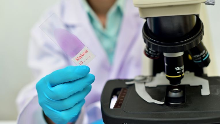 Traitement paludisme Marseille (prévention) | Rendez-vous CVI Marseille ...