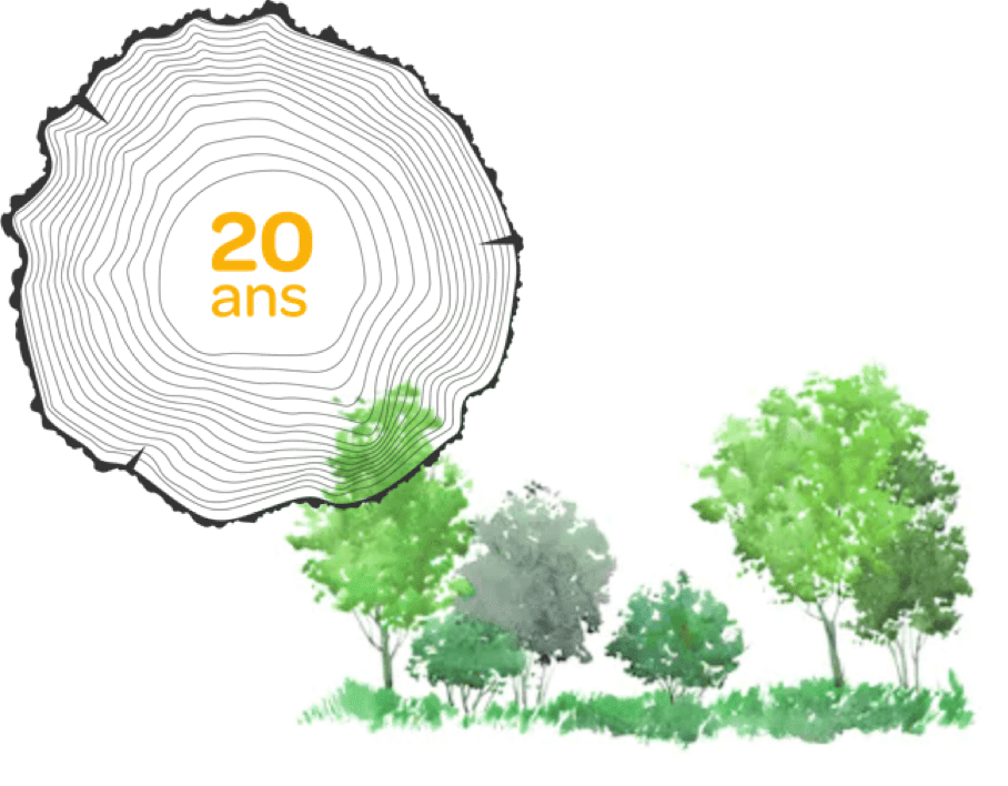 ELSAN, leader de l'hospitalisation privée en France | Elsan