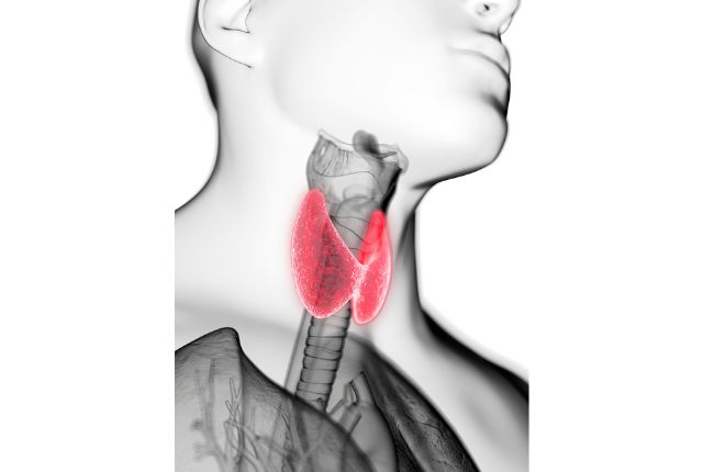 Maladie de Basedow : définition, causes et traitements | Elsan