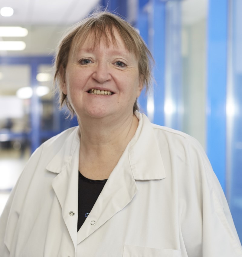 Présentation des équipes médicales du centre des Dentellières