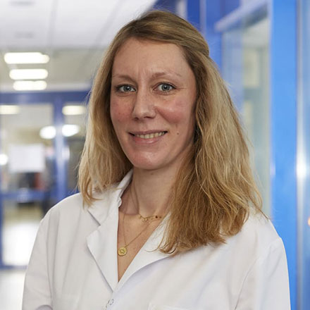 Présentation des équipes médicales du centre des Dentellières