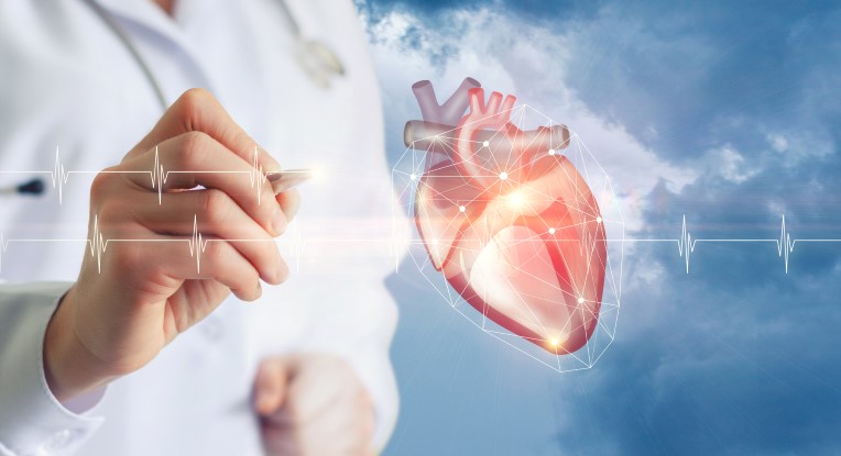 Cardiologie | Clinique médicale et cardiologique d’Aressy | Elsan